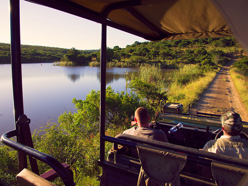 Premier Resort Mpongo Private Game Reserve | JUST AWAY